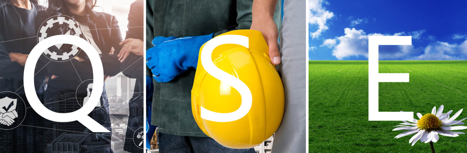 QSE software in SaaS: 20 criteria for comparison