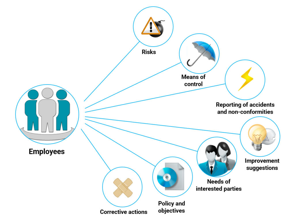 QSE: definition and implementation - Optimiso Group